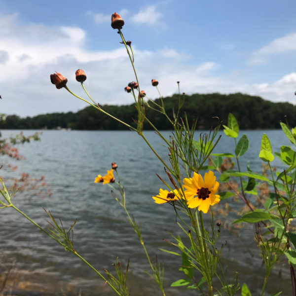 Visit & Play – Grainger County Tennessee