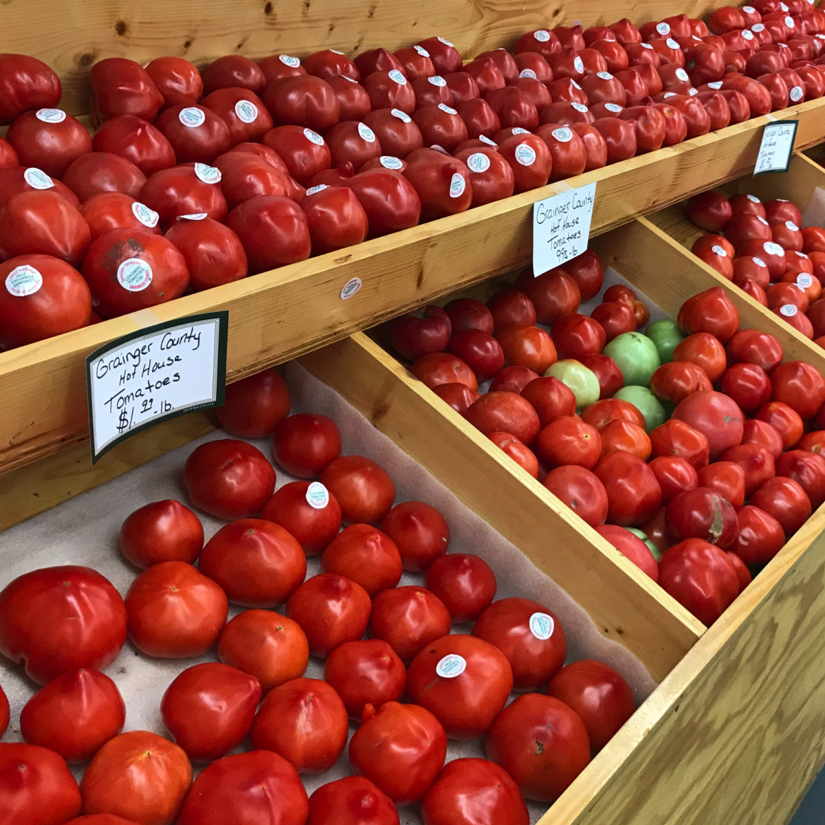 Visit & Play – Grainger County Tennessee